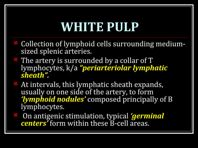 SPLEEN AND RETICULOENDOTHELIAL SYSTEM | PPT | Blood Disorders ...