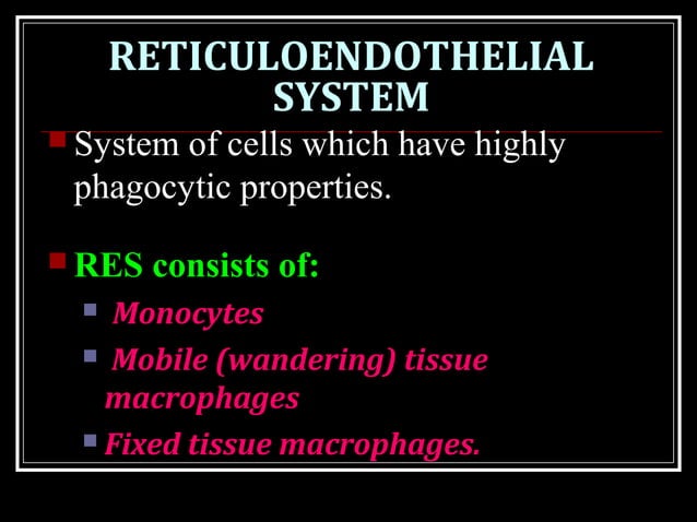 SPLEEN AND RETICULOENDOTHELIAL SYSTEM | PPT | Blood Disorders | Diseases and Conditions