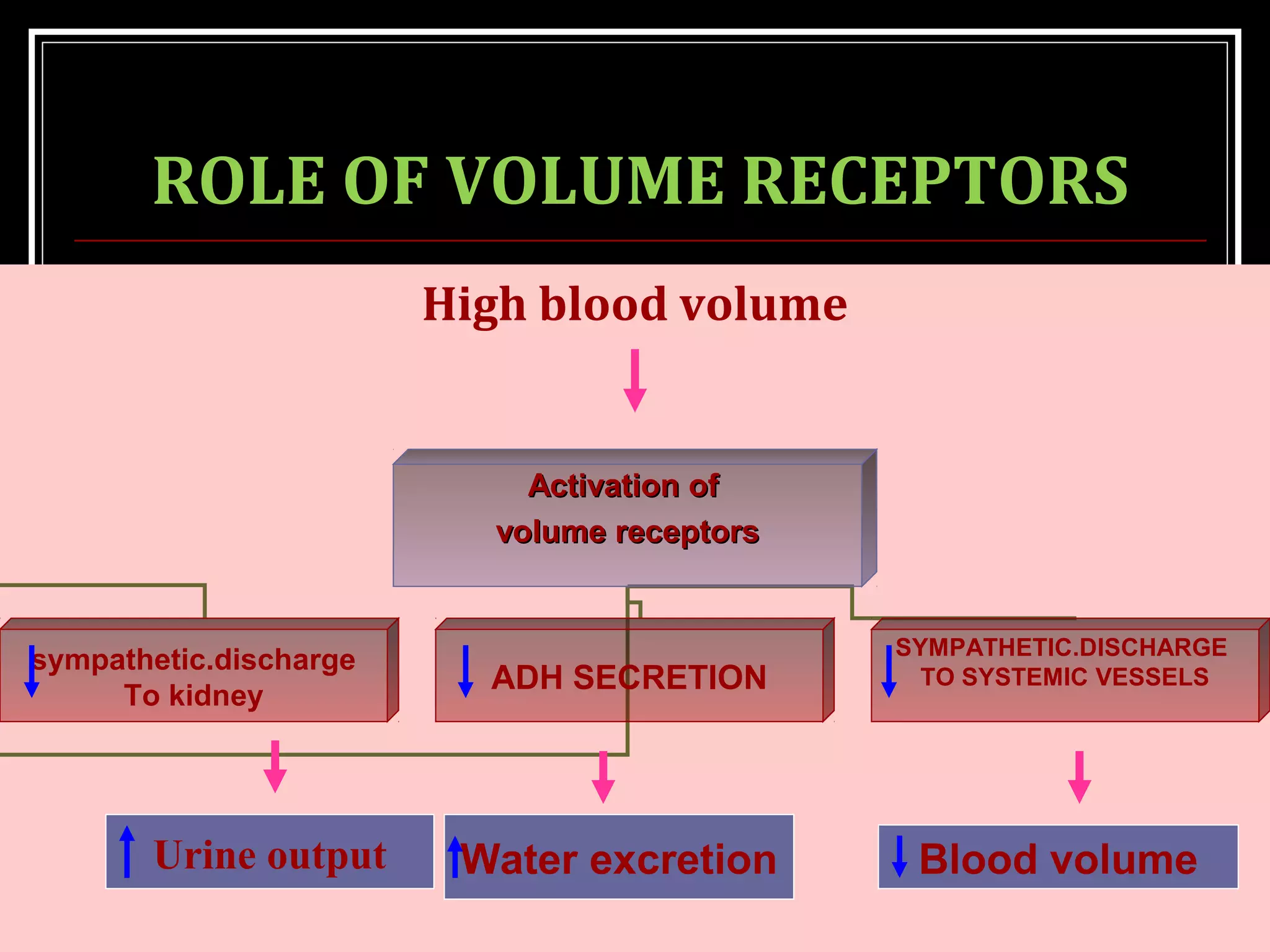 BLOOD VOLUME | PPT