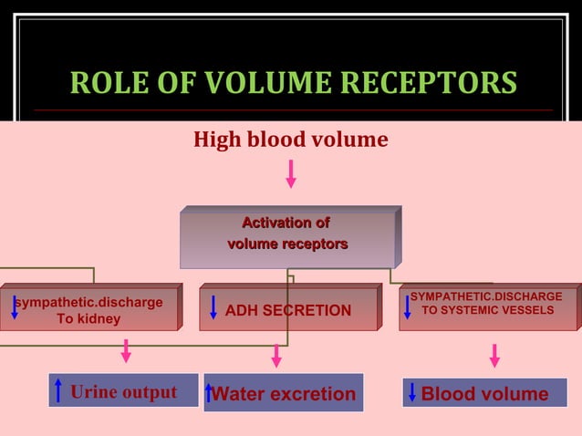 BLOOD VOLUME | PPT | Blood Disorders | Diseases and Conditions