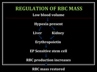 BLOOD VOLUME | PPT