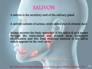 2.saliva | PPTX
