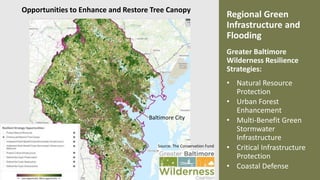 Green Infrastructure for Regional Resilience | PPTX