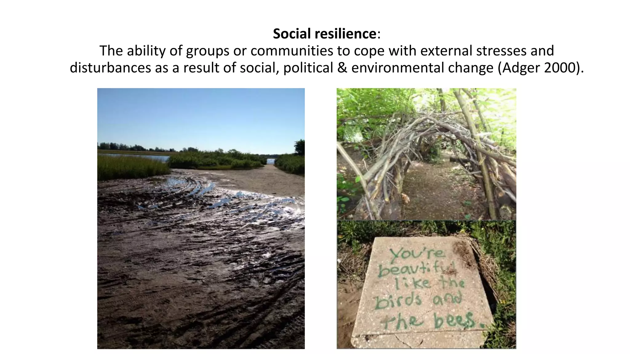 Cultivating Resilience: Urban Stewardship Practives as Indicators of ...