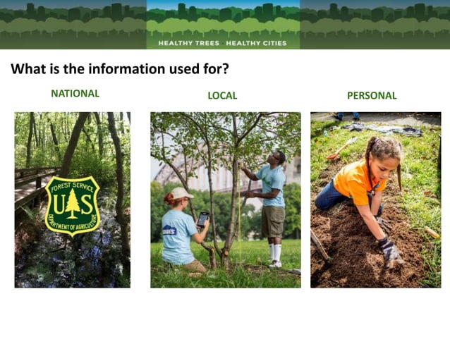 Habitat Network and Health Tree Apps | PPTX | Landscaping | Home & Garden