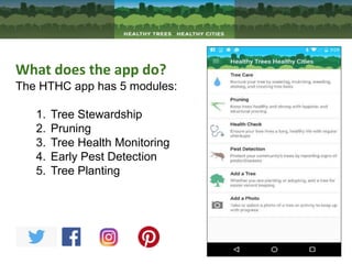 Habitat Network and Health Tree Apps | PPTX | Landscaping | Home & Garden