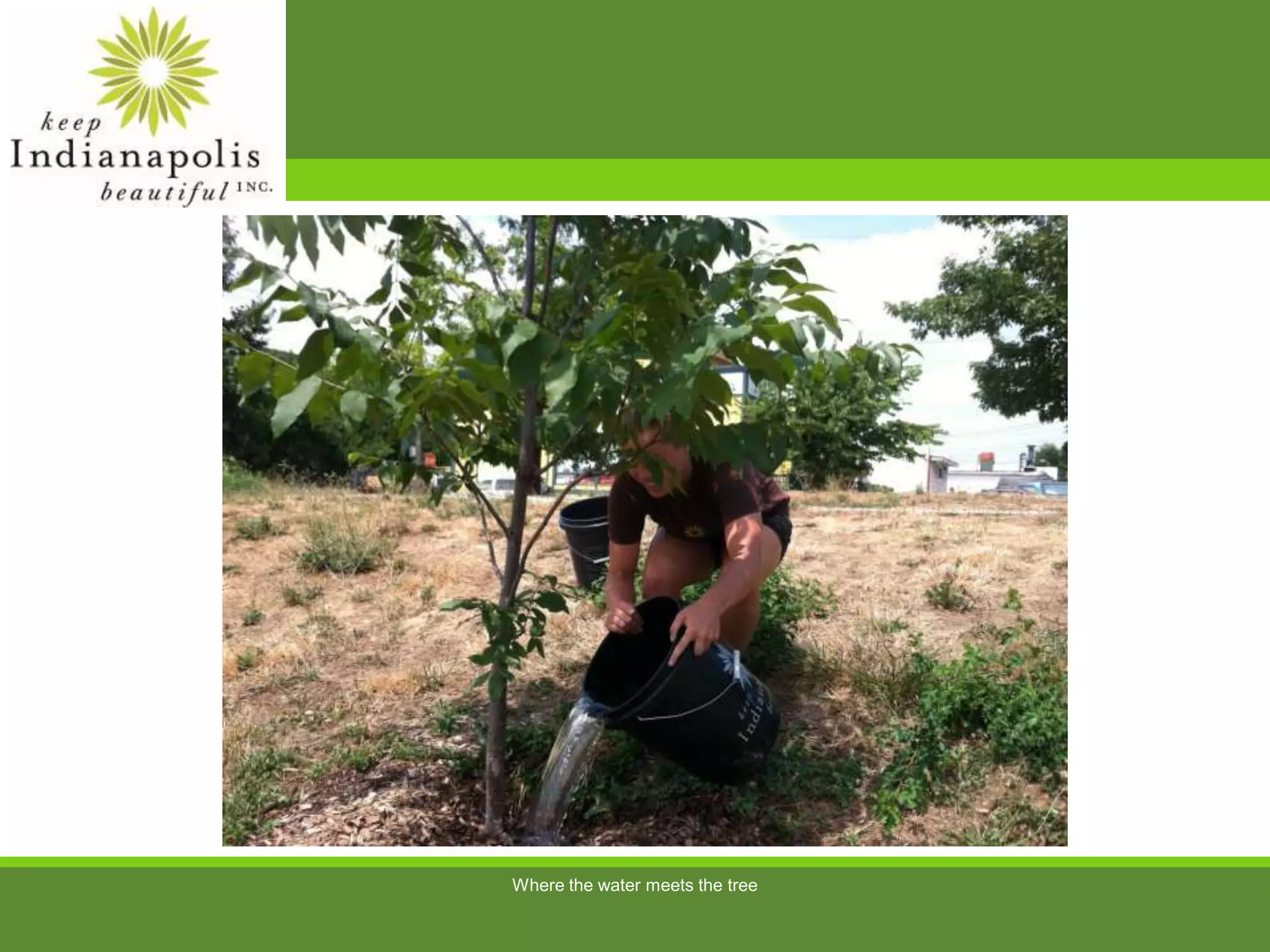 An Easier Way to Track our Tree Maintenance | PPTX