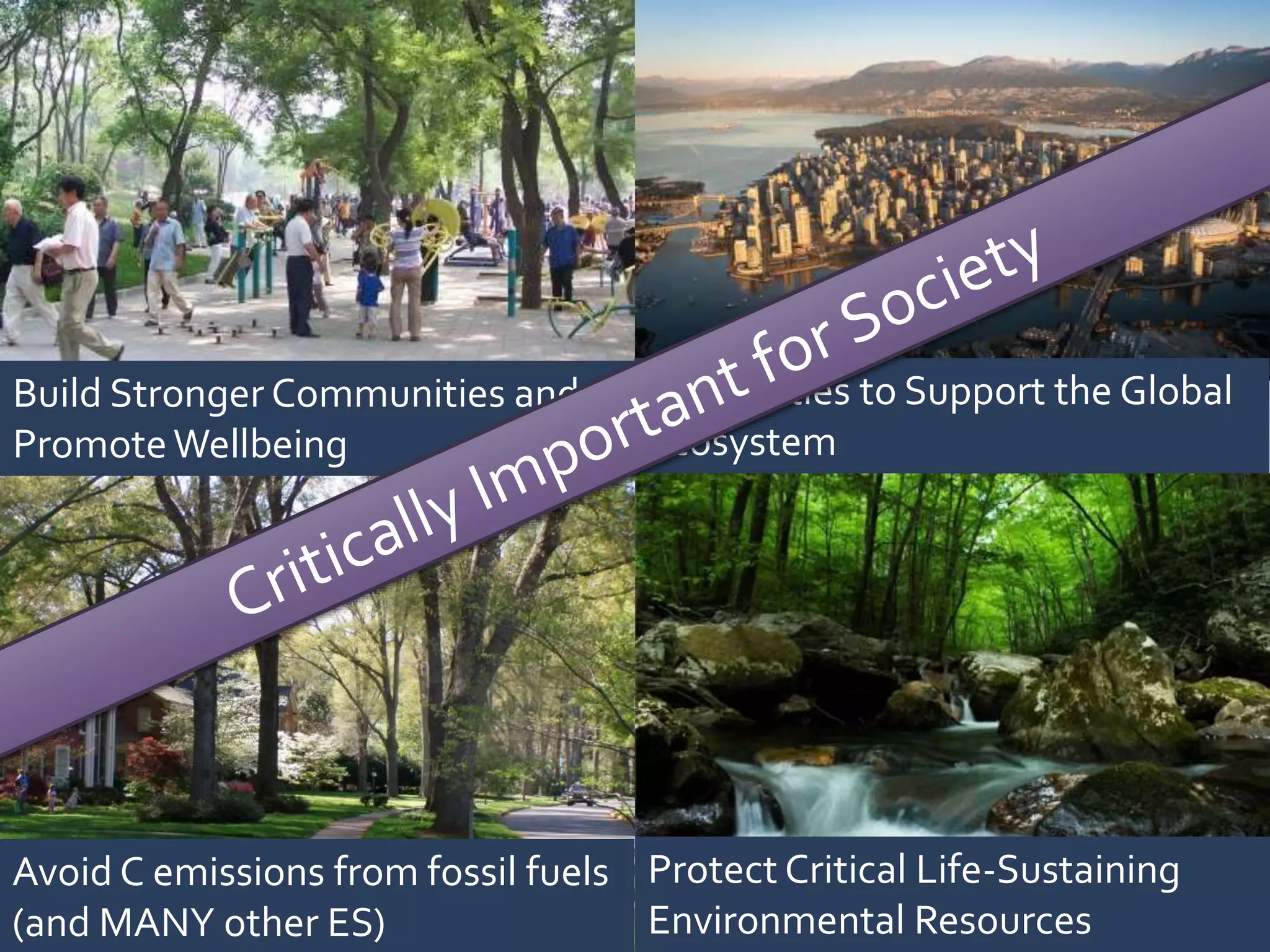 Urban Forestry 2020 Pptx