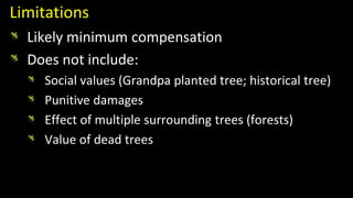 Compensating for the Loss of a Healthy Tree: How Many Trees do you Owe ...