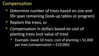 Compensating for the Loss of a Healthy Tree: How Many Trees do you Owe ...