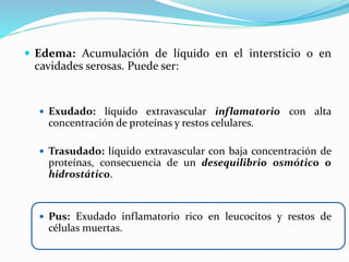 Patologia - Inflamacion | PPTX