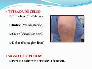 Patologia - Inflamacion | PPTX