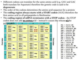 2.7 replication, transcription, translation | PPT