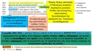 Ευριπίδη Ελένη, Α΄ επεισόδιο, 2η σκηνή, στίχοι 495-541 | PDF