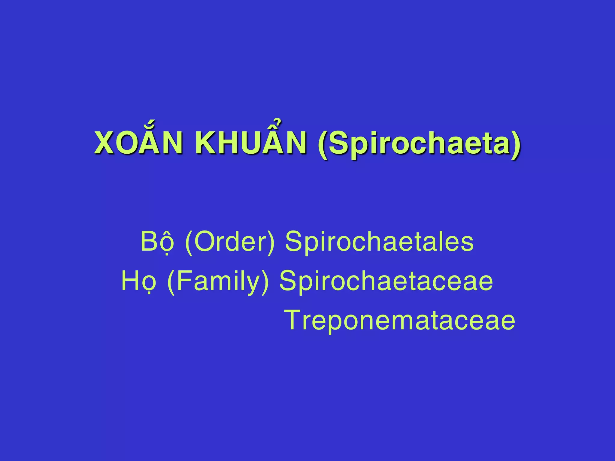 XOẮN KHUẨN (SPIROCHAETA) | PDF