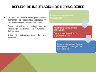 El control de la respiración | PPTX