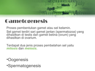 gametogenesis | PPT