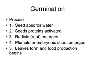 2 16 Seeds Germination Lifecycles | PPT