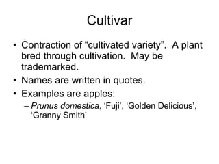 2 16 Seeds Germination Lifecycles | PPT