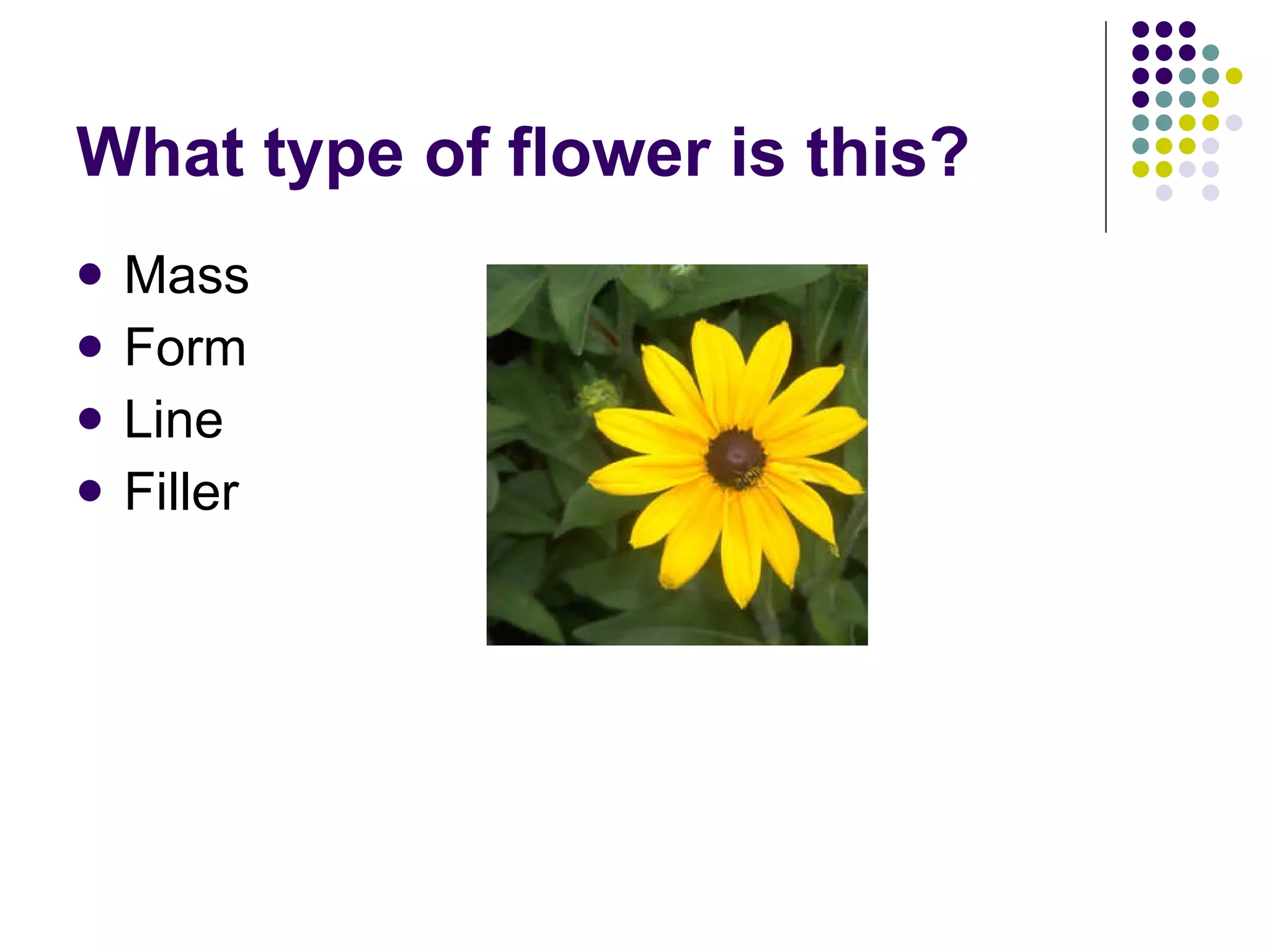 2 16 Types Of Flowers | PPT | Gardening | Home & Garden