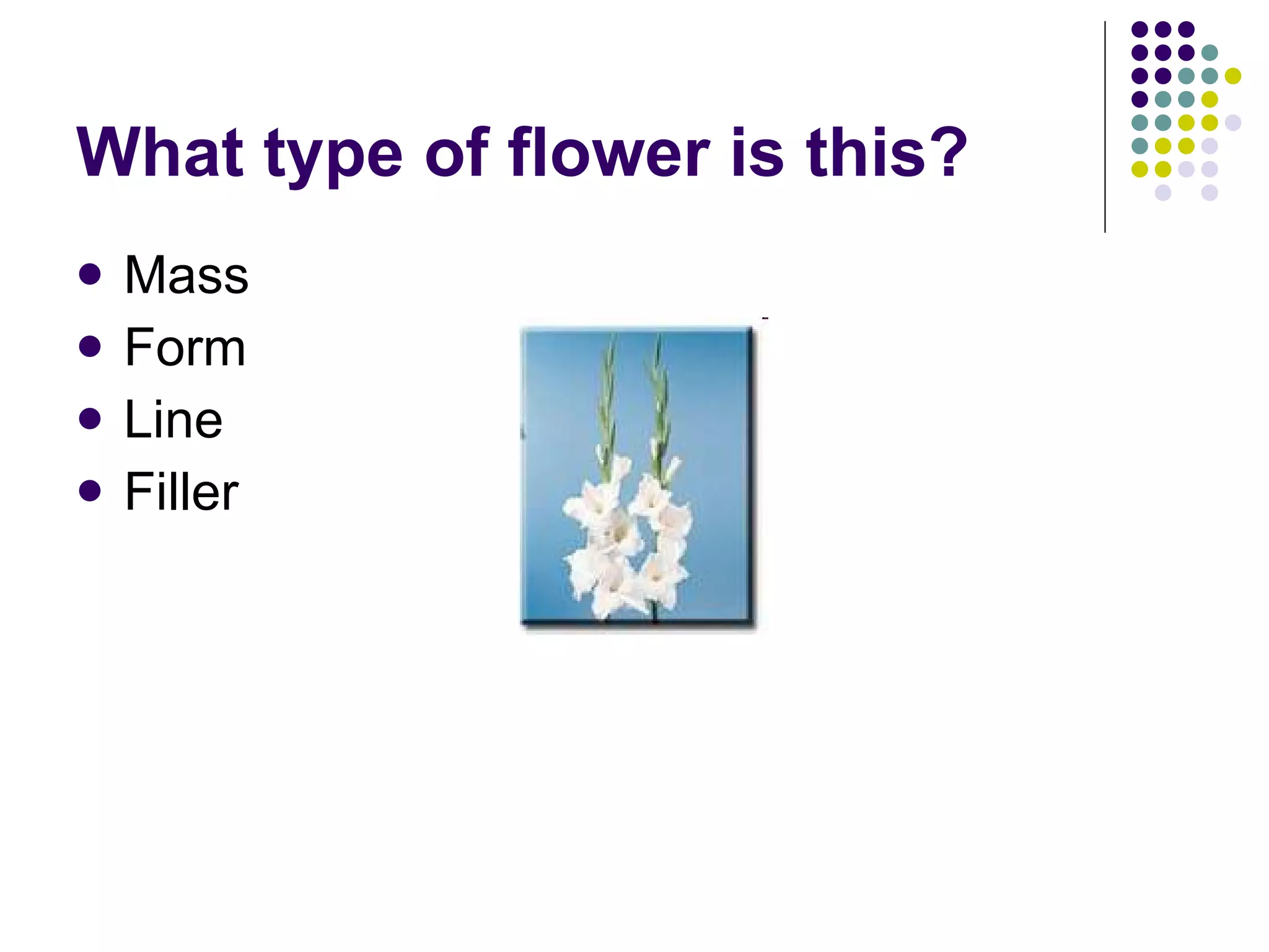 2 16 Types Of Flowers | PPT | Gardening | Home & Garden