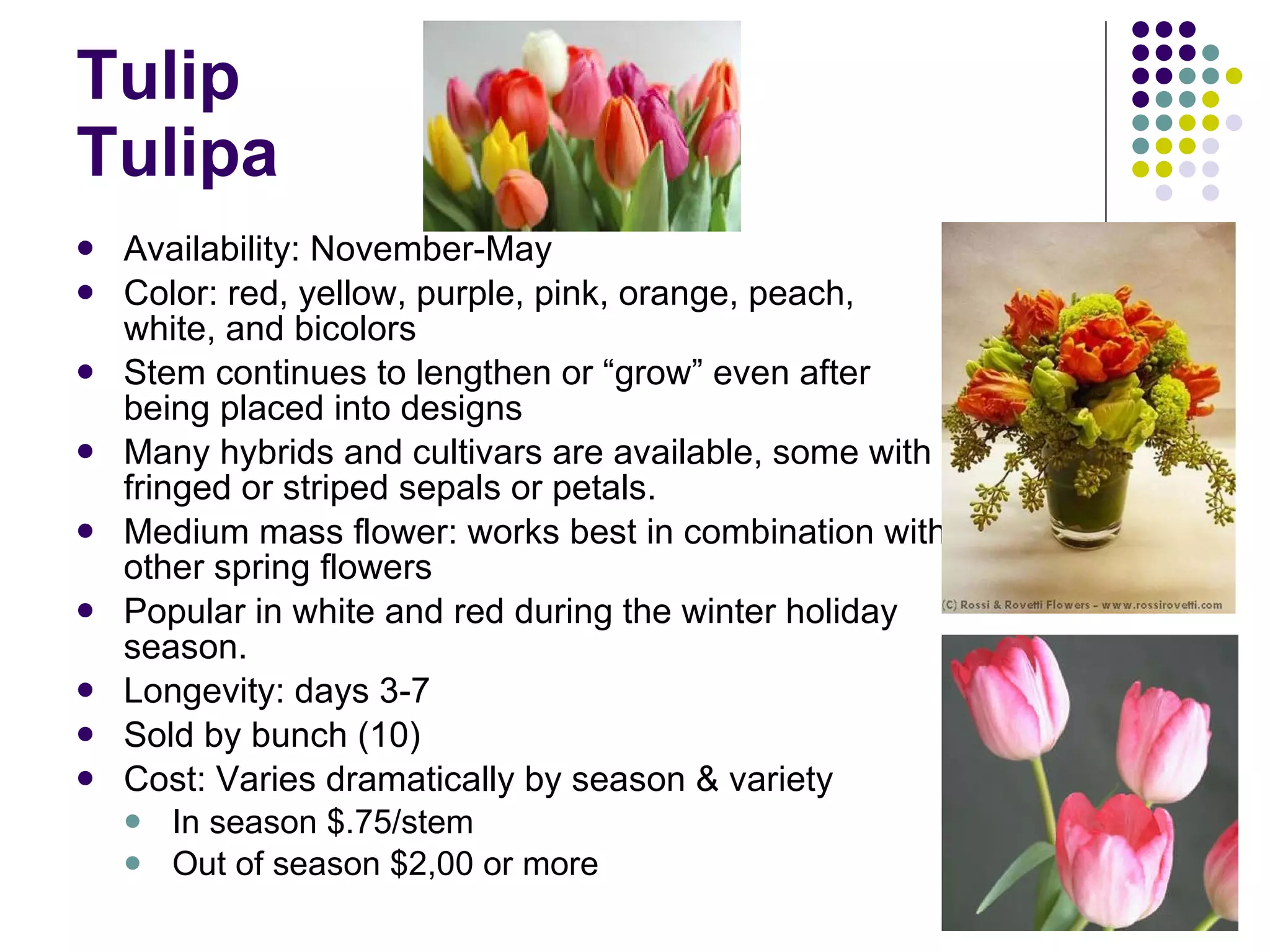 2 16 Types Of Flowers | PPT