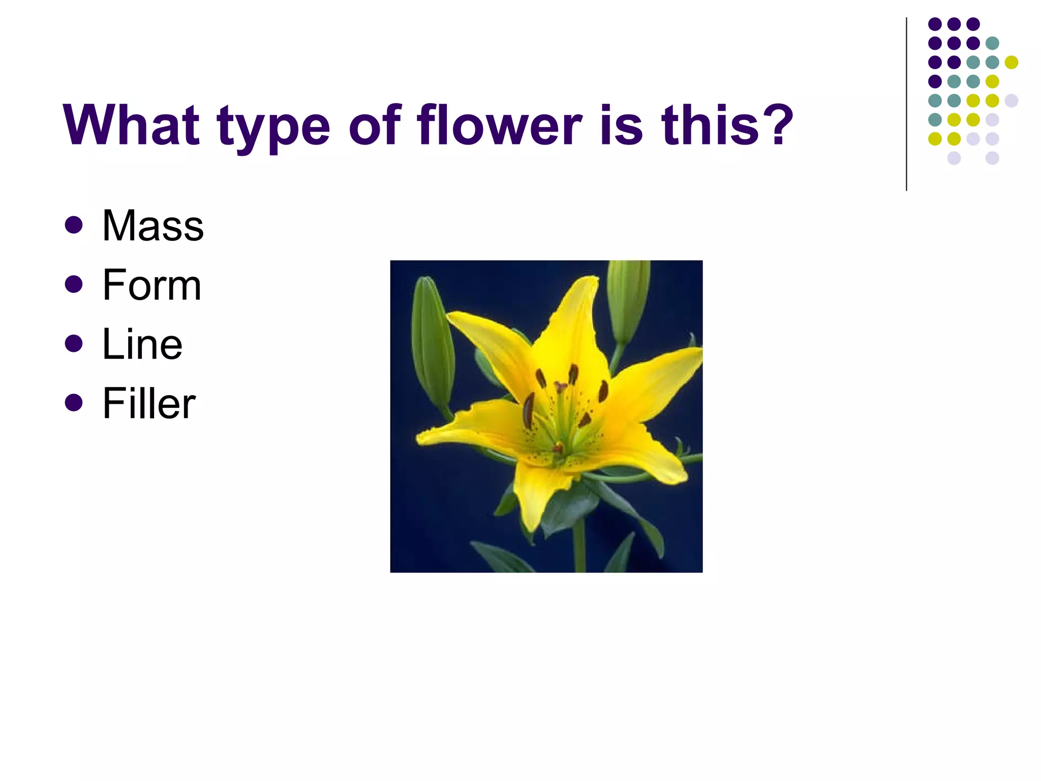 2 16 Types Of Flowers | PPT | Gardening | Home & Garden
