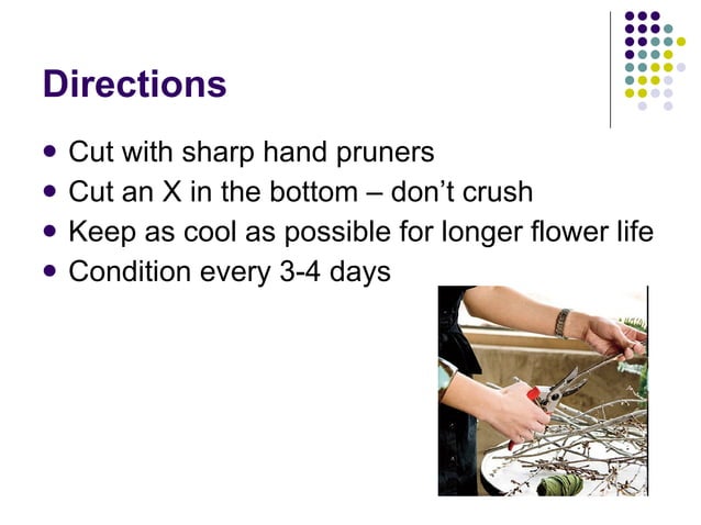 2 16 Types Of Flowers | PPT