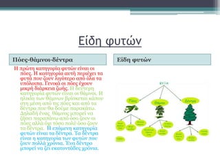 τα φυτά 2 | PPTX