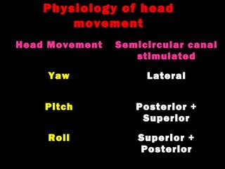 Physiology of hearing and balance | PPT
