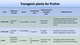 Genetic engineering for abiotic stress tolerance | PPTX