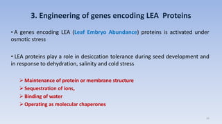 Genetic engineering for abiotic stress tolerance | PPTX