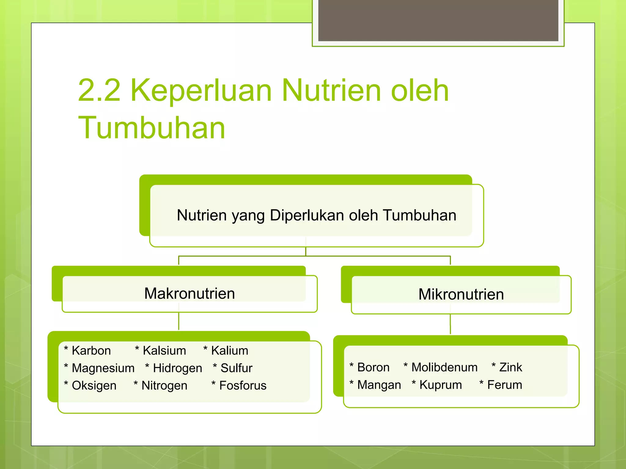 2.2 nutrien tumbuhan | PPTX