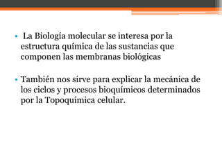 Biología molecular | PDF