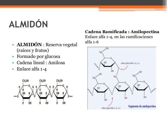 Estructura Quimica Del Almidon - 2020 idea e inspiración