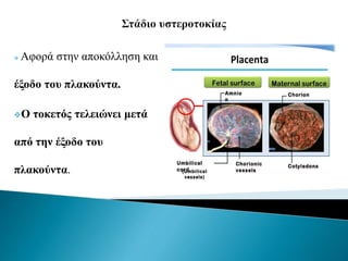 παρουσίαση μαιευτική 2 | PPT