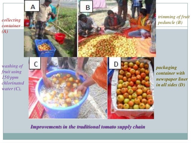 Post harvest loss reduction of Tomato