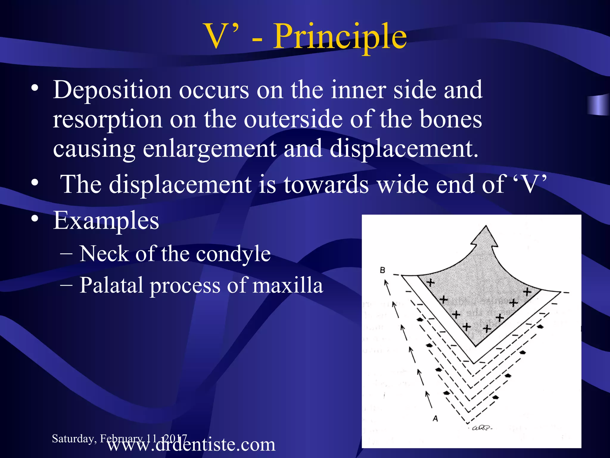 growth & development in orthodontics | PPT