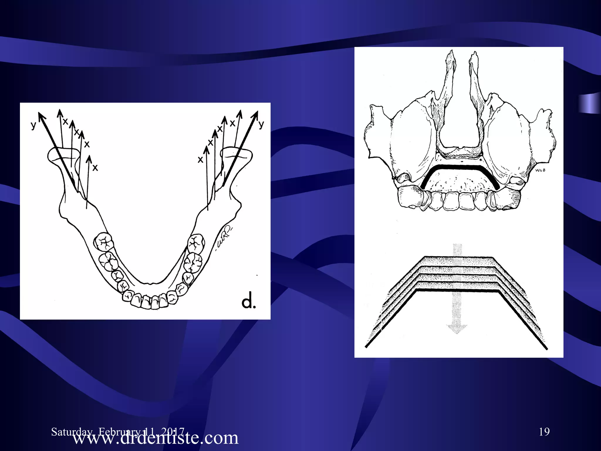growth & development in orthodontics | PPT