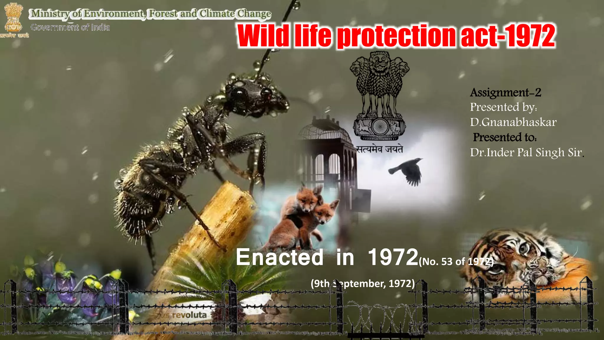 wild life protection act 1972 | PPTX