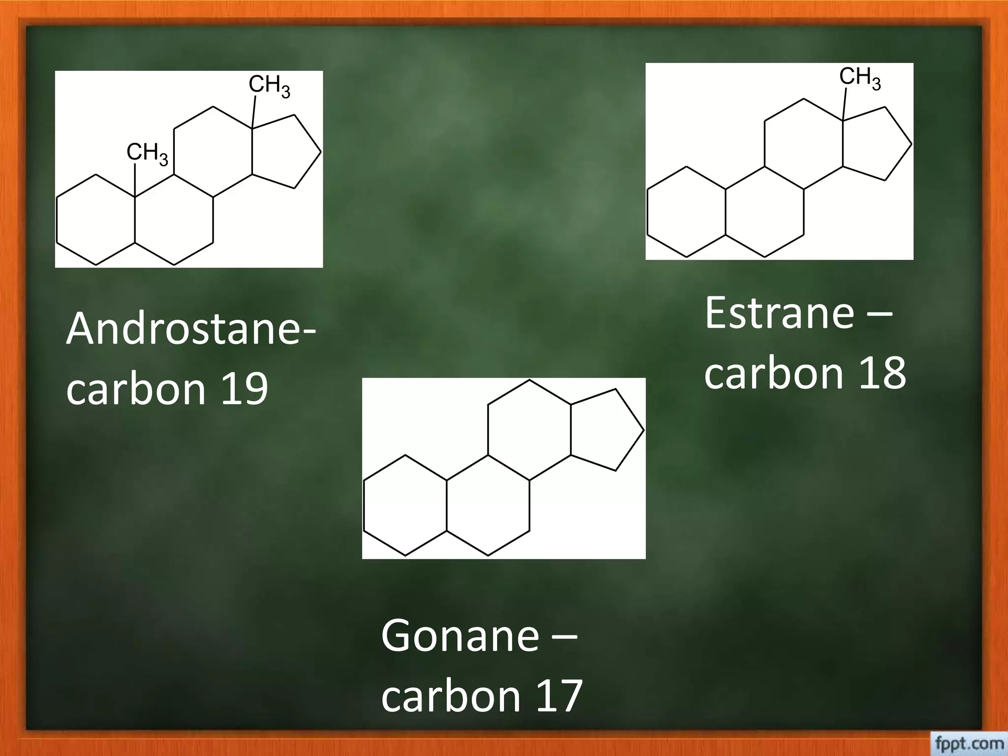 2.nomenclature of steroids | PPTX