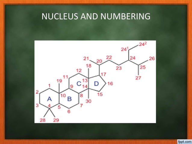 2.nomenclature of steroids | PPTX | Chemistry | Science
