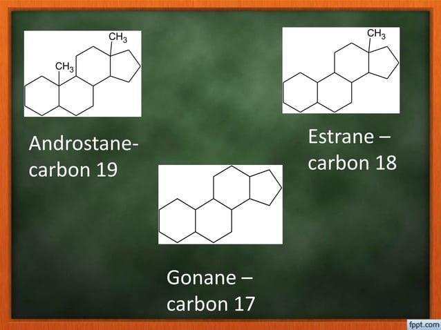 2.nomenclature of steroids | PPTX | Chemistry | Science