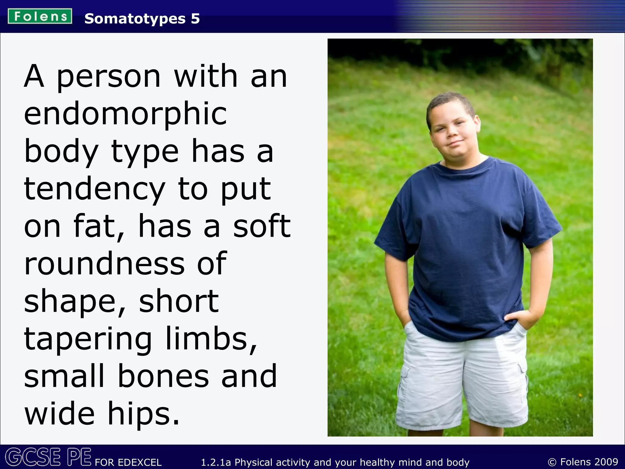 somatotypes | PPT