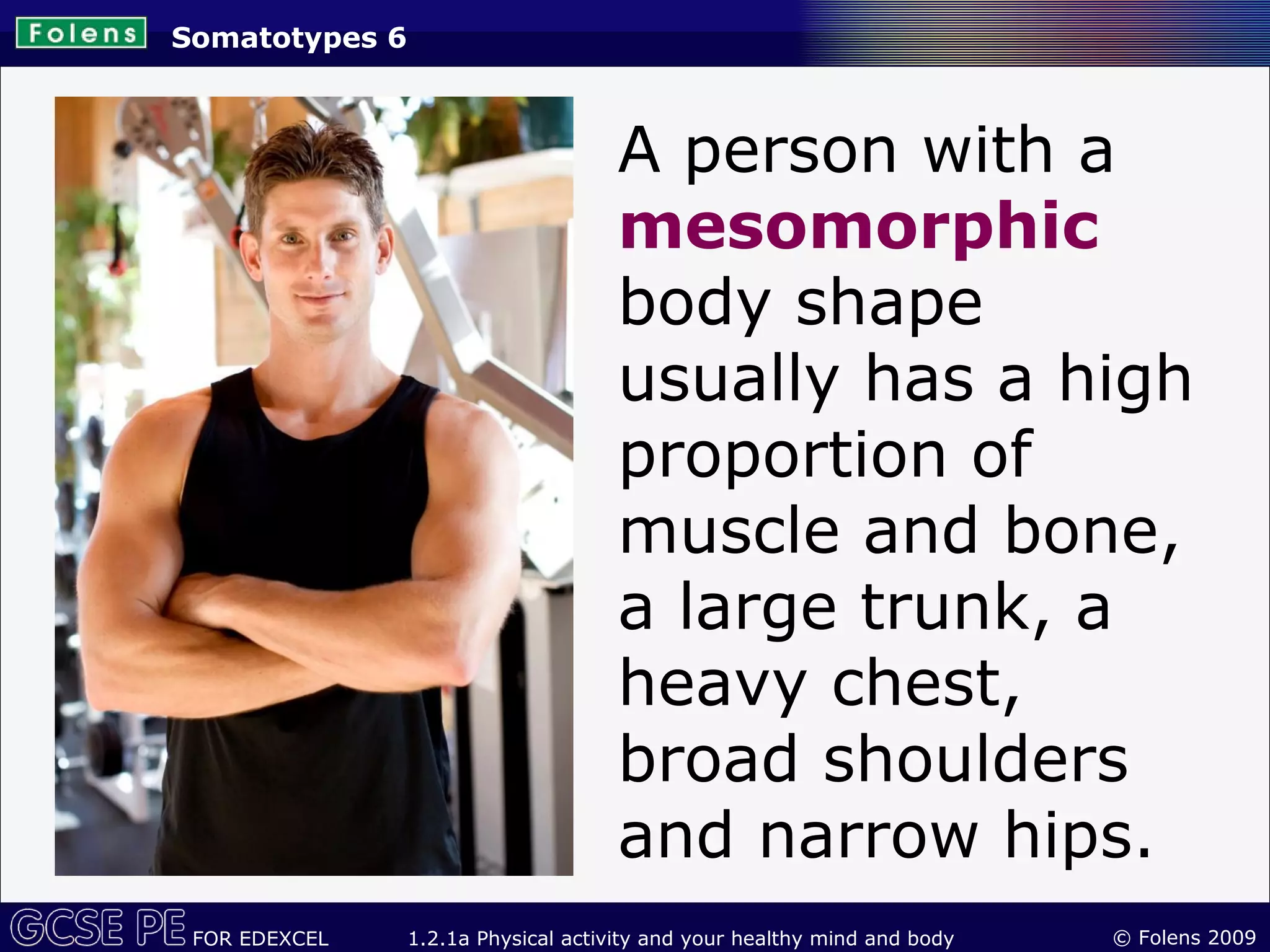 somatotypes | PPT