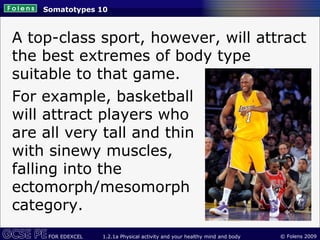 somatotypes | PPT