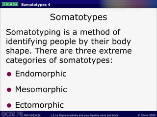somatotypes | PPT