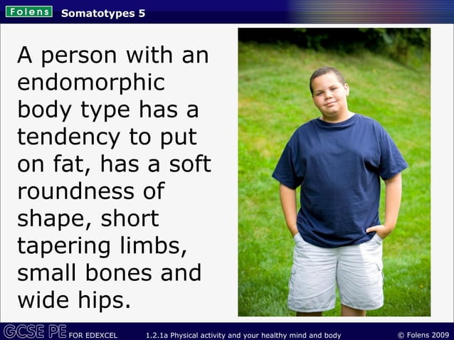 somatotypes | PPT