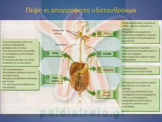 Υδατάνθρακες | PPTX