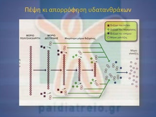 Υδατάνθρακες | PPT